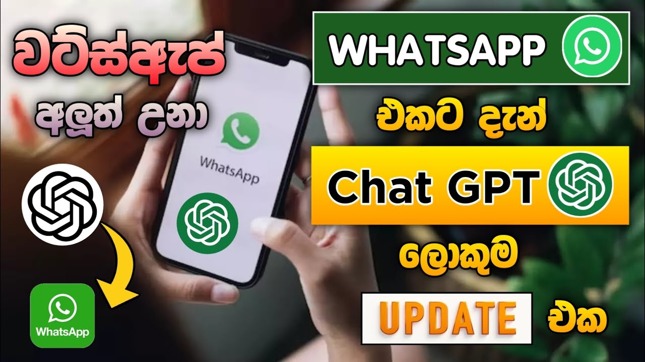 Whatsapp එකට ආව Chat GPT🔥 | Chat gpt To Whatsapp Sinhala | whatsapp big update | SL Academy ...